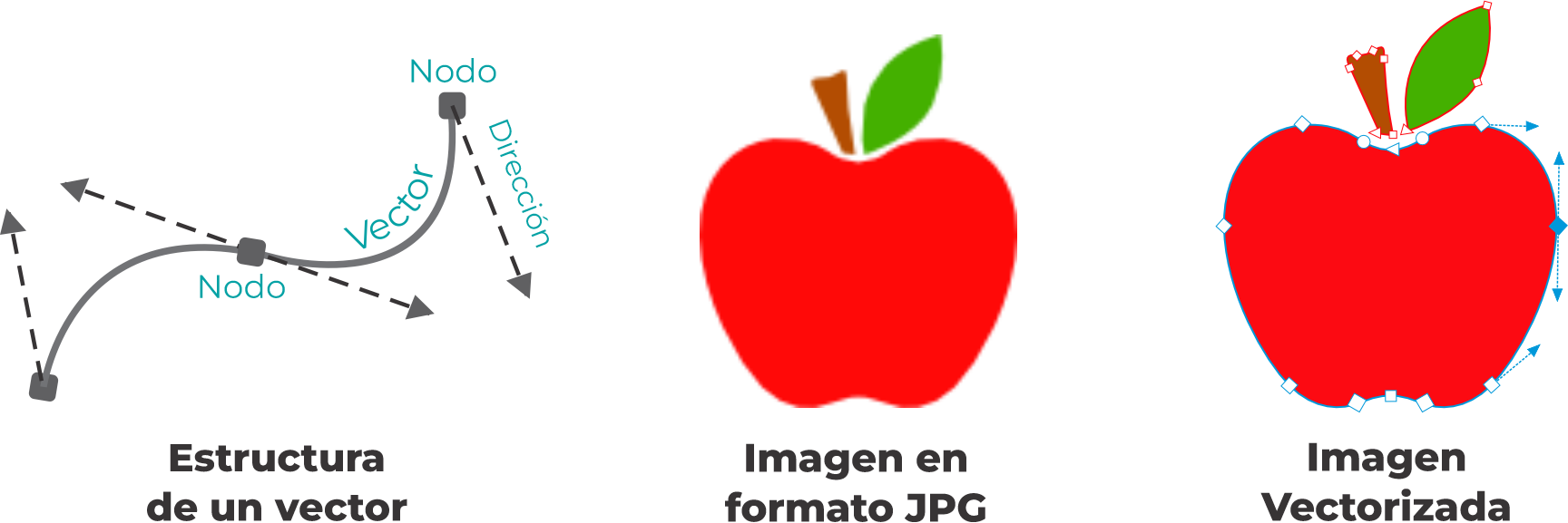 Servicio de vectorización de imágenes - 100% manual